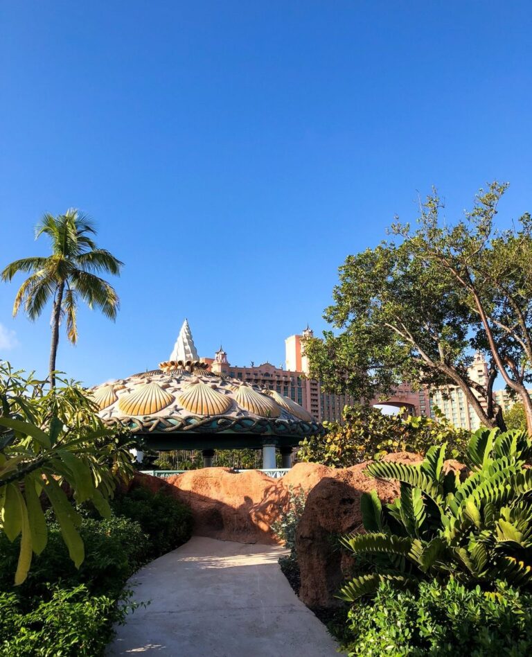 12 Things To Do At Atlantis Bahamas: Ultimate Atlantis Bucket List ...
