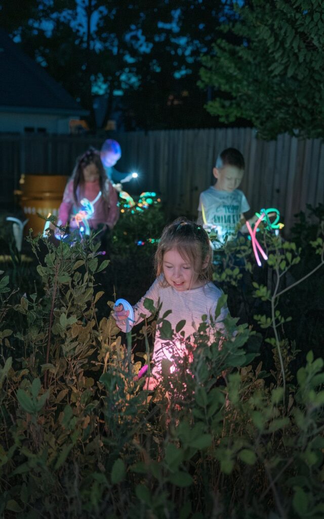15 DIY Backyard Adventures for Summer – Cruise Ship Mania